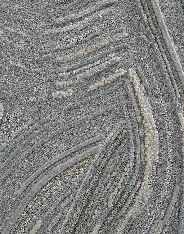 DISCOVER NATURE | DRIFT SAND